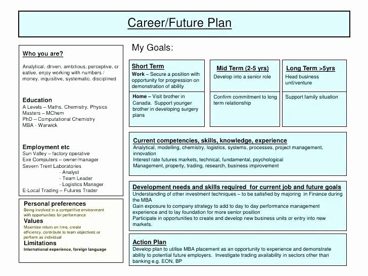 40 Individual Development Plan Examples Desalas Template