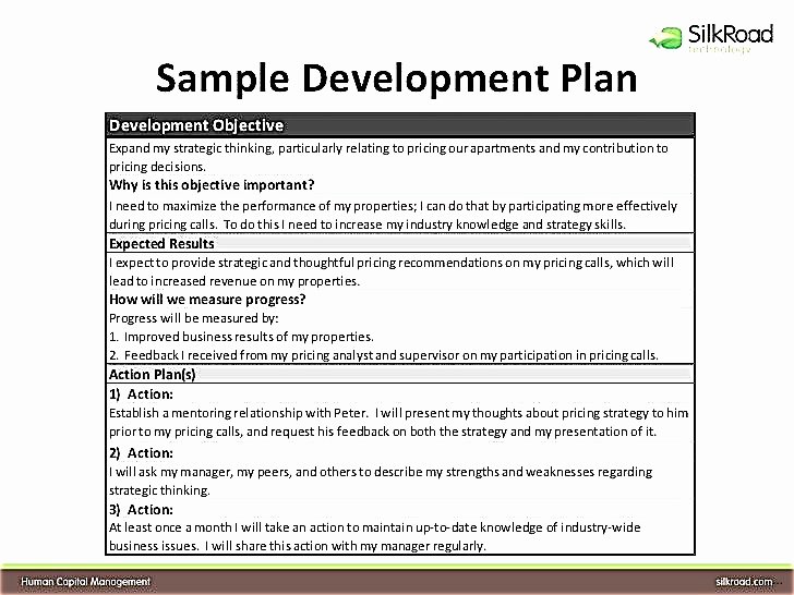 40 Individual Development Plan Template With Images Personal Vrogue