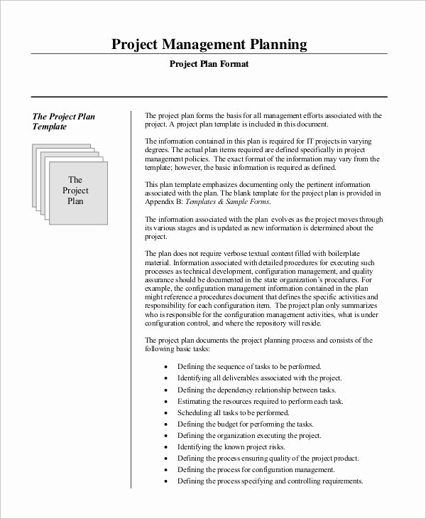 40 Project Management Plan Example Desalas Template
